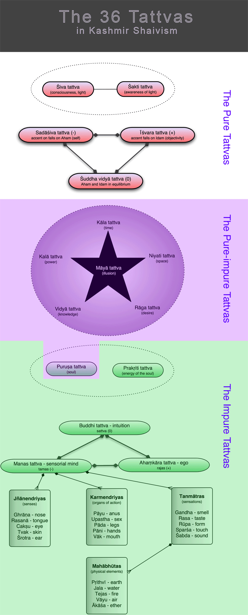 The-36-tattvas-in-Kashmir-Shaivism - Sally Kempton